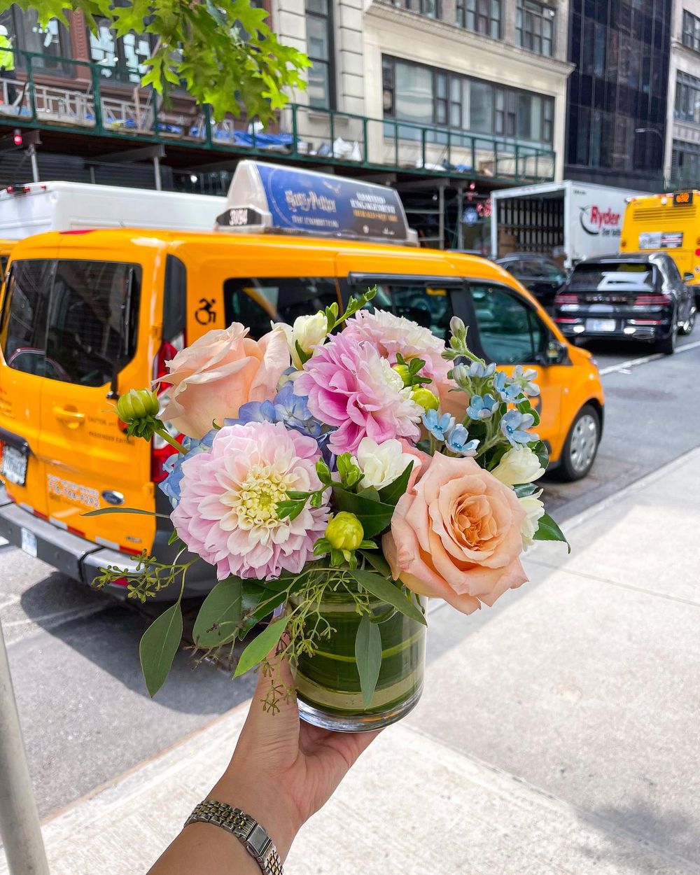 Are Peonies Overrated? Which Stems Last The Longest? Rob Palliser Of ...
